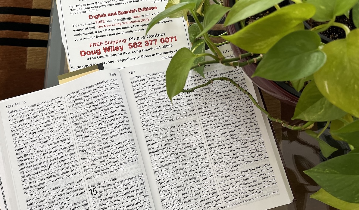Free Bible Pictures To Print Bible Coloring Pages For Kids To Grow